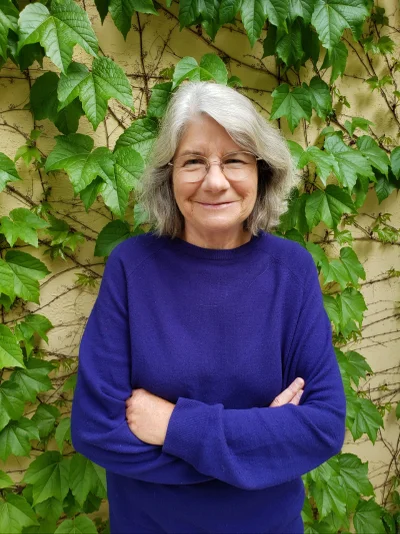 Biblical Studies Lectures