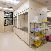 McWhorter School of Pharmacy Virtual Tour
