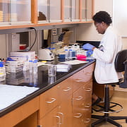 McWhorter School of Pharmacy Virtual Tour